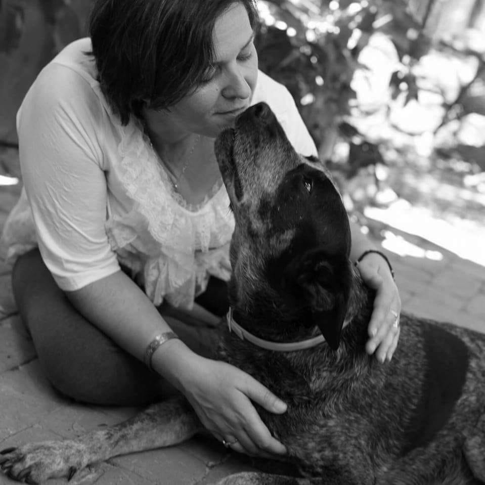About – ADOGSCHOICE